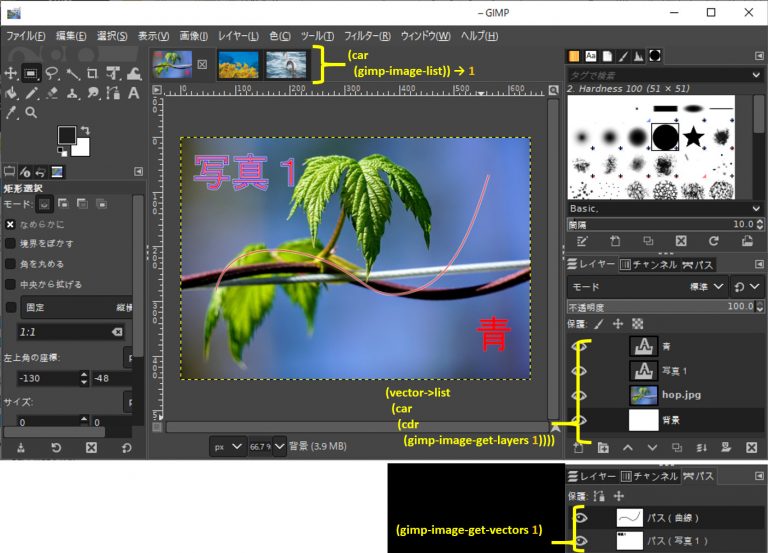Gimp Script-Fu 画像レイヤー,テキストレイヤー , パスをそれぞれ取得 | ぬの部屋（仮）